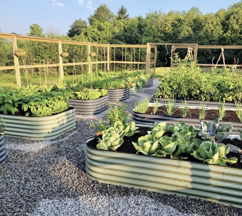 Modular Raised Garden Bed | 17" Tall Modular Garden Bed | Sproutbox Garden