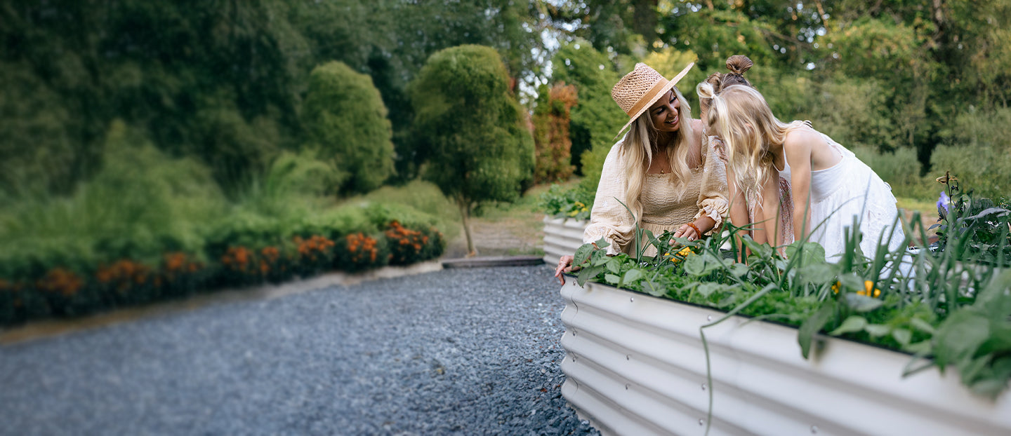 Raised Garden Beds Canada | Metal Garden Boxes | Sproutbox Garden