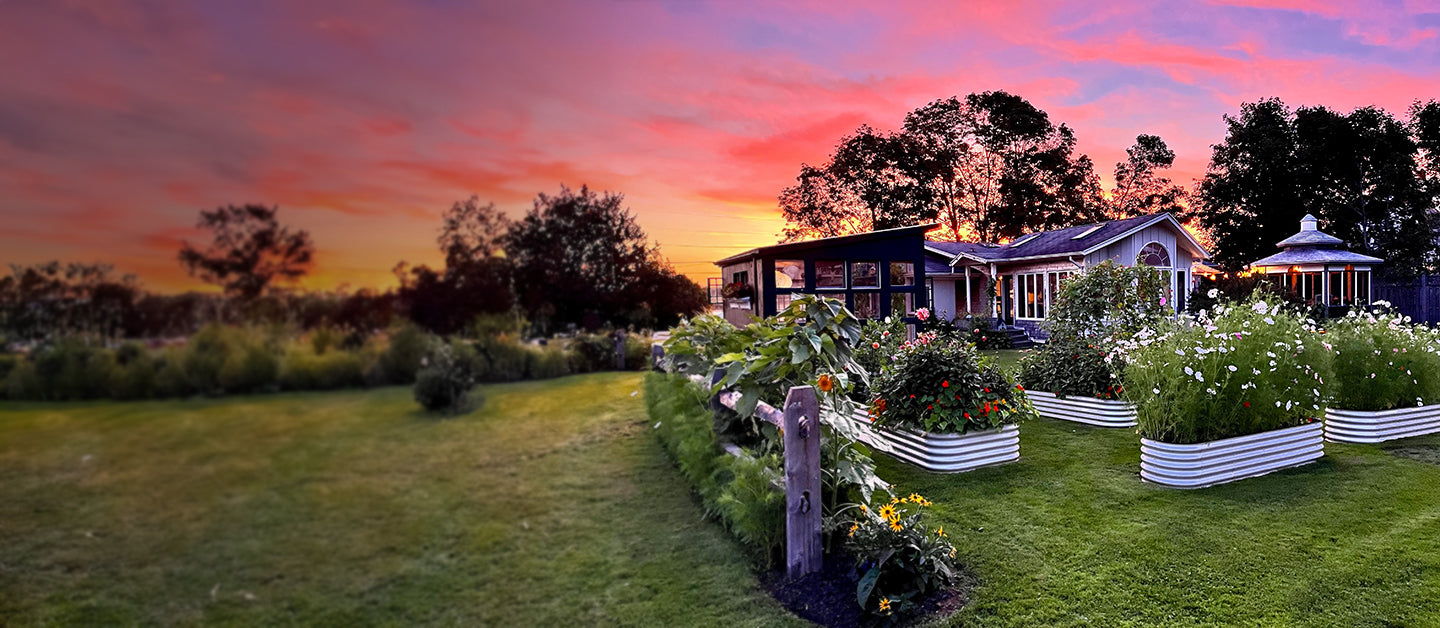Raised Garden Beds Canada | Metal Garden Boxes | Sproutbox Garden