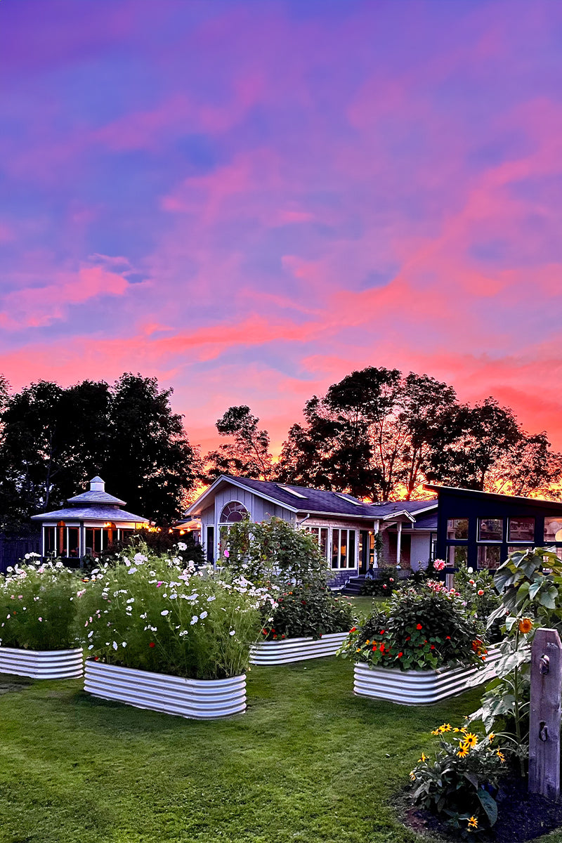 Raised Garden Beds Canada | Metal Garden Boxes | Sproutbox Garden